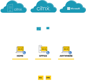 IGEL & Citrix - Perfect Partners | IGEL