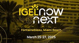 Software Downloads - IGEL OS 12 Secure Endpoint | IGEL