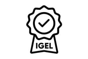 IGEL OS 12 is the Secure Endpoint Solution for Modern Business